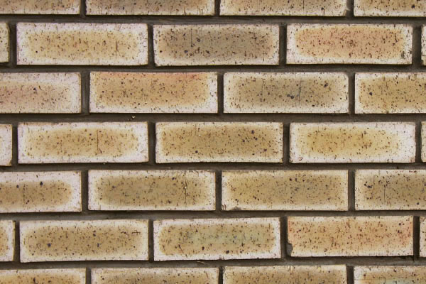 FBA Semi-face Brick Aesthetic - Algoa Clay Brick